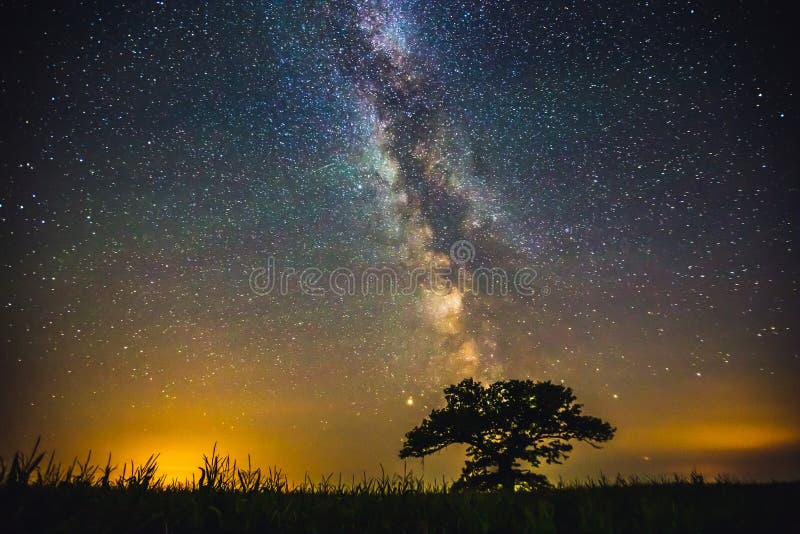 Landscape with Milky Way Galaxy Over the Oak Tree Stock Photo - Image ...