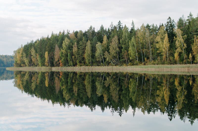 A Landscape with Mixed Trees Stock Photo - Image of ground, house: 90573930