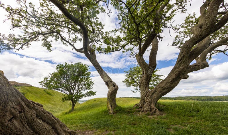 Landscape of Mols Bjerge National Park Stock Photo - Image of nature ...