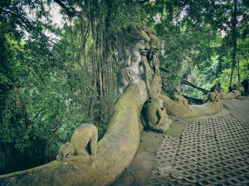 Landscape in the Monkey Forest in Bali Stock Image - Image of adventure ...