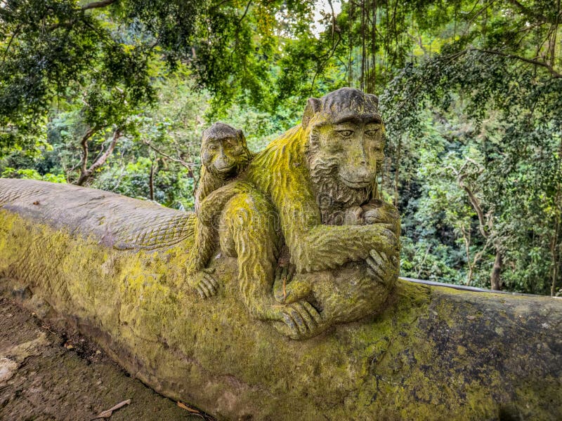 Landscape in the Monkey Forest in Bali Stock Photo - Image of bali ...