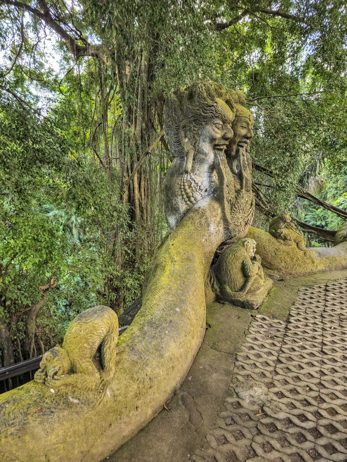 Landscape in the Monkey Forest in Bali Stock Image - Image of pathway ...