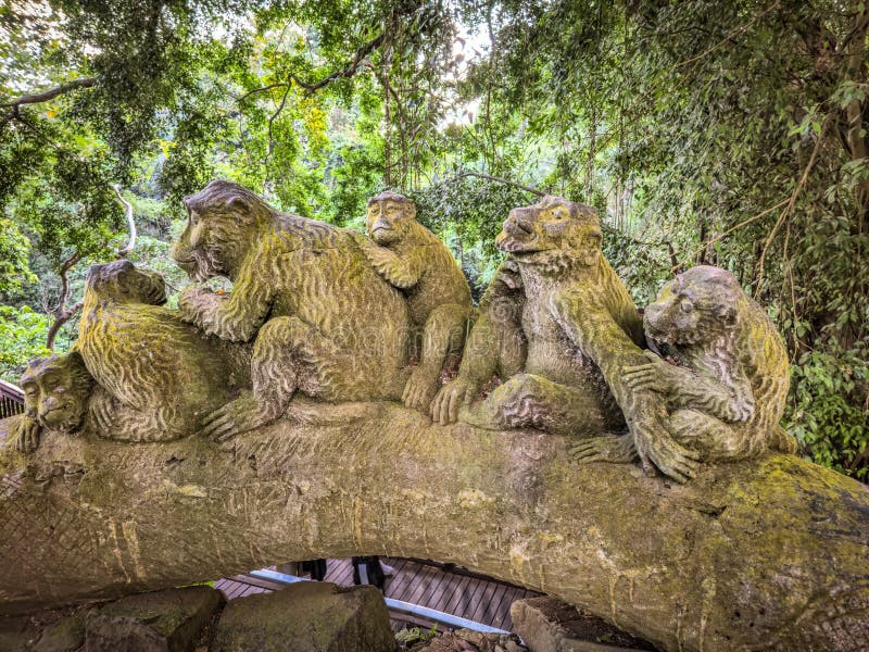 Landscape in the Monkey Forest in Bali Stock Image - Image of island ...