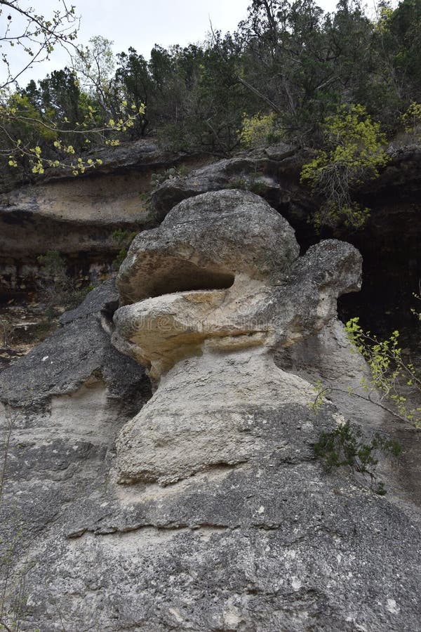 Landscape of Monkey Rock in Lost Maples State Natural Area with Forest ...