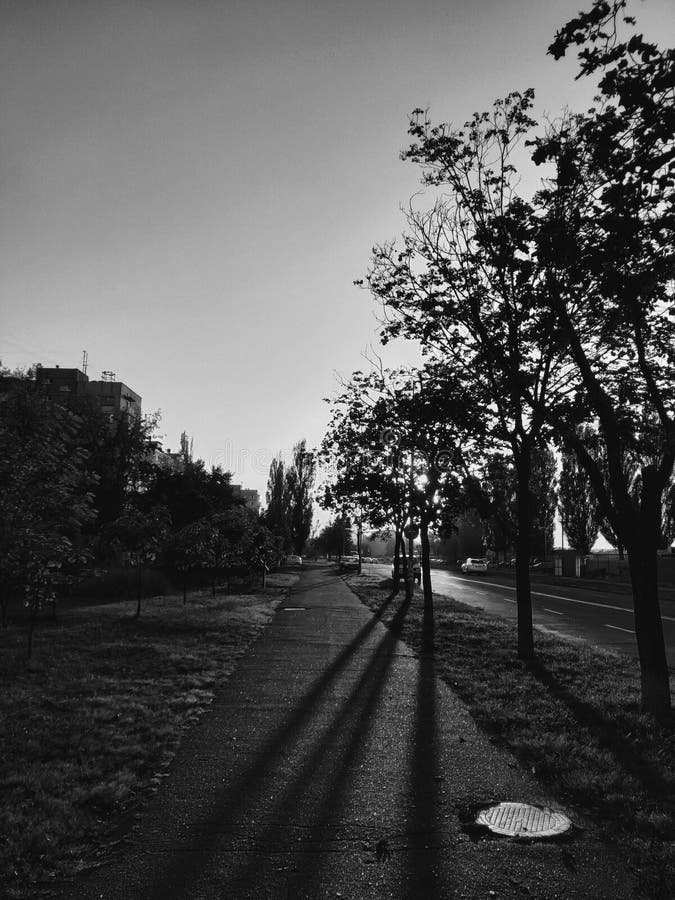 Light and Shadows, Sunlight and Sunshine, Stock Photo - Image of ...