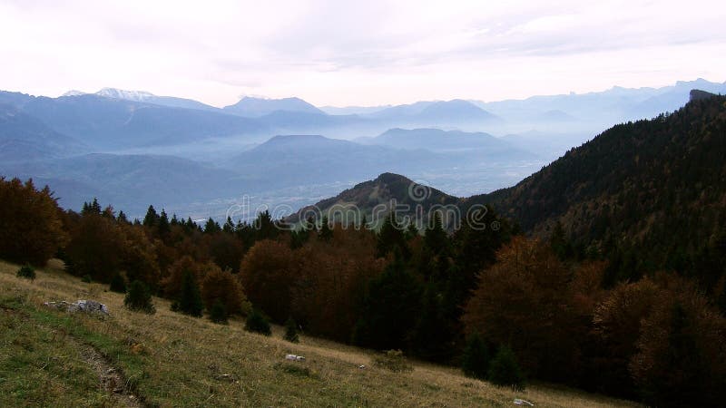 Landscape Montain Forest in French Alps Stock Photo - Image of europe ...