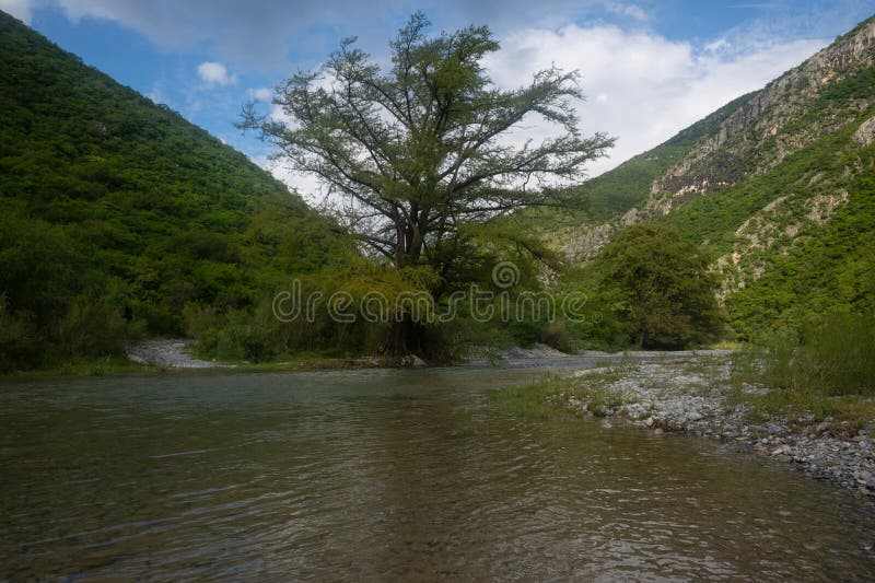 Landscape in Monterrey from Rio Pilon, Rivers, Water Stock Photo ...