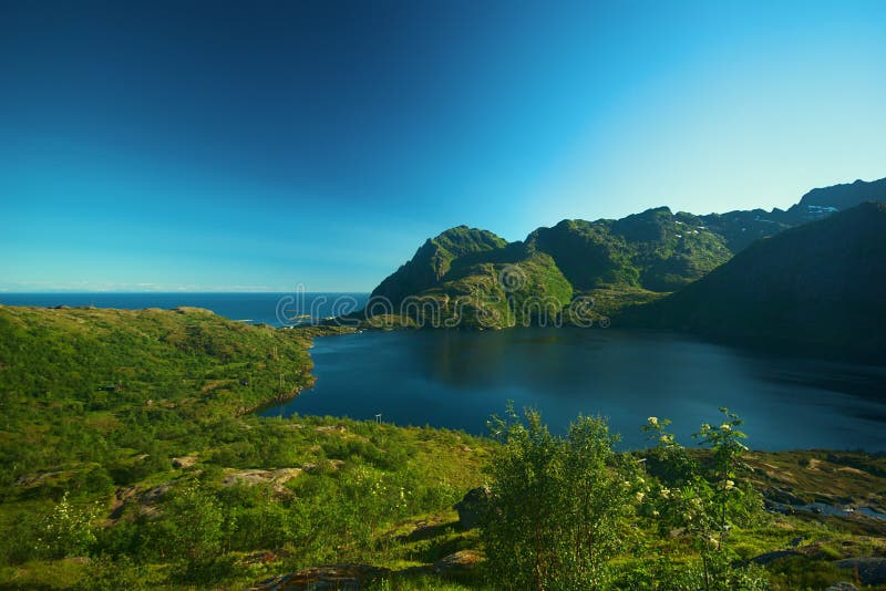 Landscape on Moskenesoya, Lofoten, Norway Stock Image - Image of green ...
