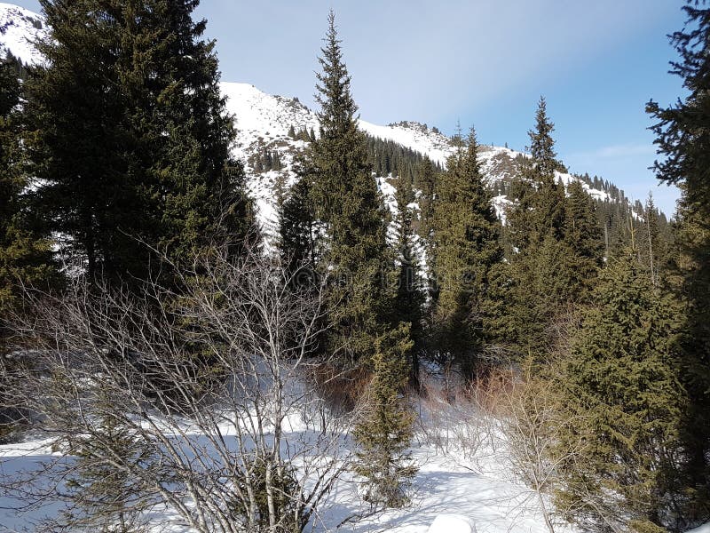 The Beginning of Spring in the Mountains. Stock Image - Image of early ...