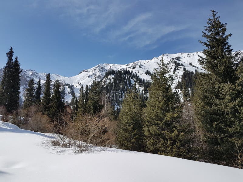 The Beginning of Spring in the Mountains. Stock Photo - Image of snow ...