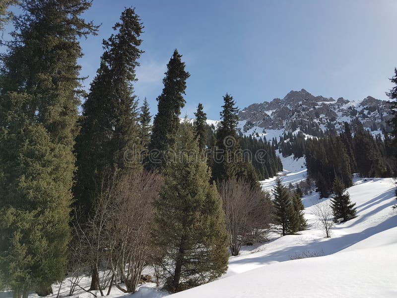 The Beginning of Spring in the Mountains. Stock Image - Image of walks ...