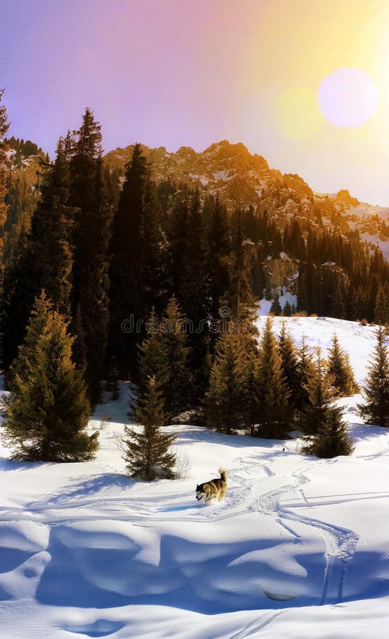 Spring Begins in the Mountains. Stock Photo - Image of landscape, walks ...