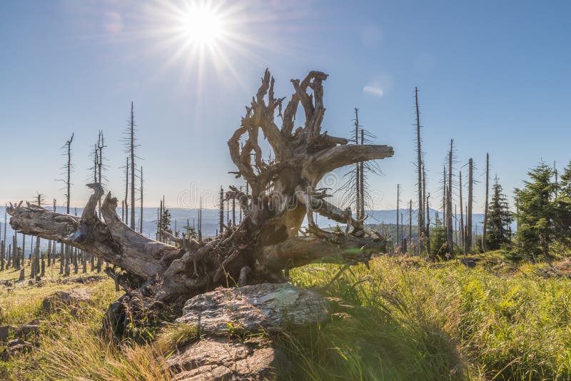 Landscape on the Mountain of Great Rachel in the Bavarian Forest ...