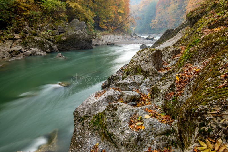Landscape with Mountain River and Forest Stock Photo - Image of fall ...