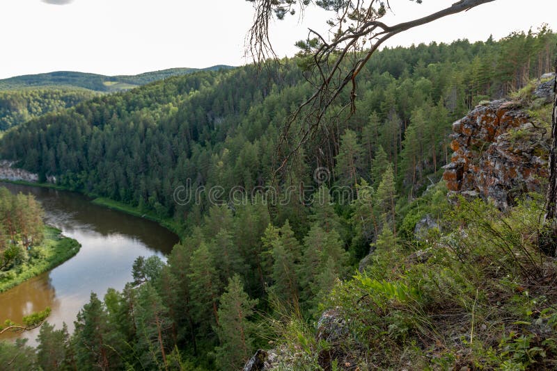 Landscape of a Mountain River and Wild Forest from a Bird`s Eye View ...