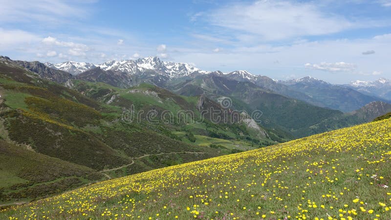 Landscape of Mountains Covered in Greenery and Snow Under the Sunlight ...