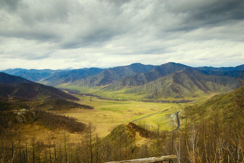 Landscape with Mountains, Forest, Meadow in Front. Beautiful Scenery ...