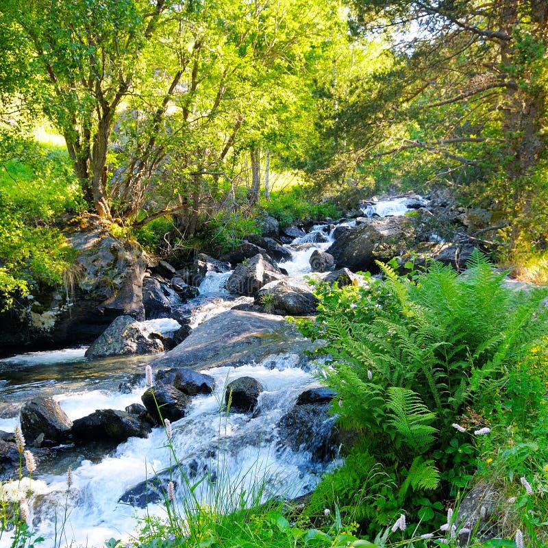 Landscape with Mountains, Forest and a River in Front. Stock Image ...