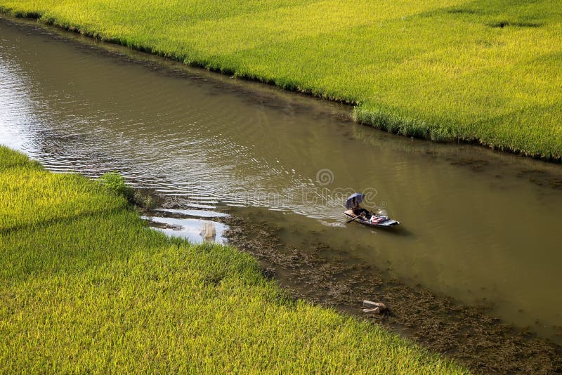 Landscape with Mountains, Rice Fields and River Editorial Photography ...