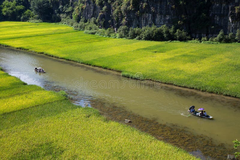 Landscape with Mountains, Rice Fields and River Editorial Image - Image ...