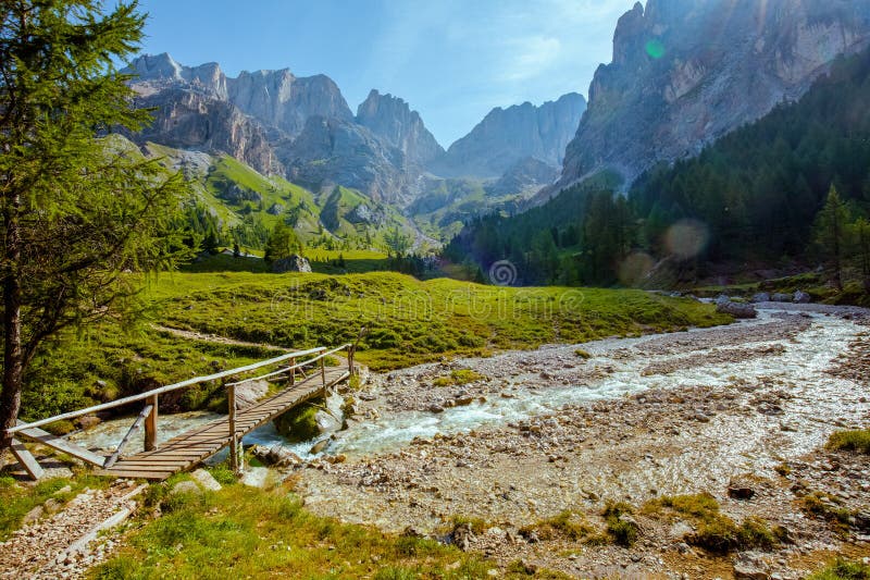 River and trees in a park stock photo. Image of environment - 253696238