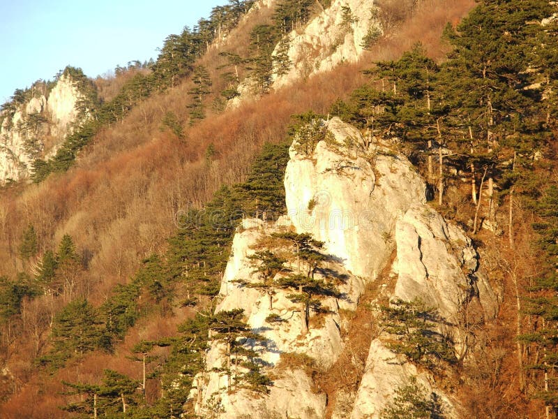 Landscape with Mountains, Rocks and Trees Stock Image - Image of rocks ...