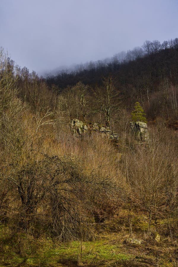 Landscape with Mountains and Rocks among the Trees Stock Photo - Image ...