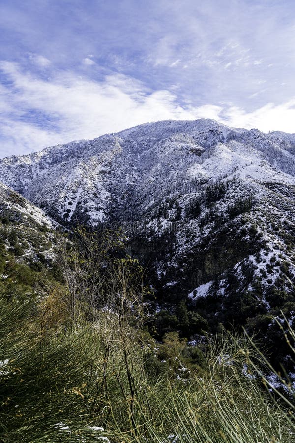 Landscape of Mountains Surrounded by Greenery Covered in the Snow Under ...