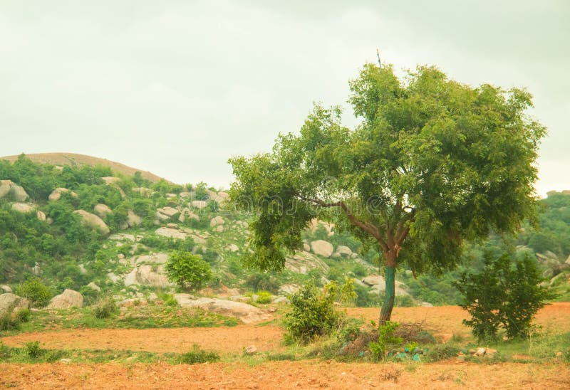 Landscape with Mountains and Tree Backdrop Stock Image - Image of tree ...