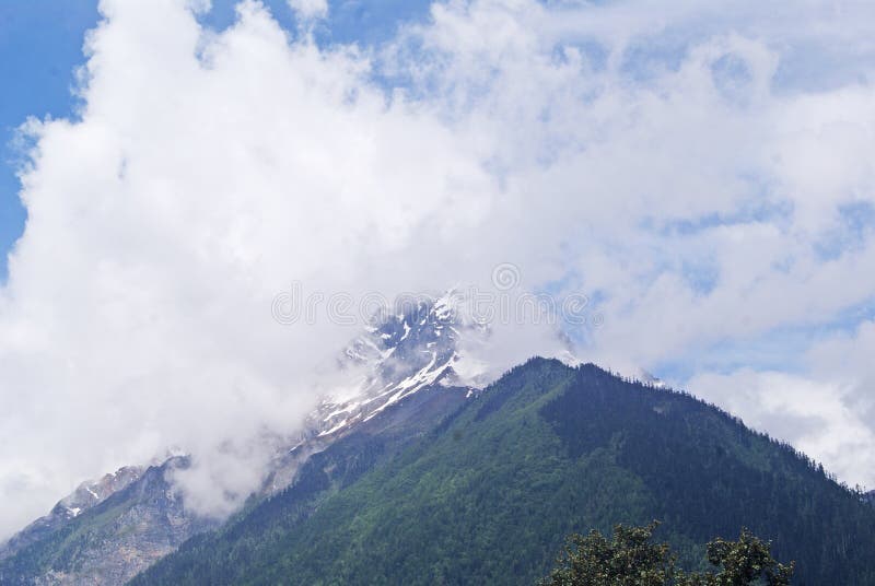 Landscape with Mountains Tree Stock Image - Image of berchtesgaden ...