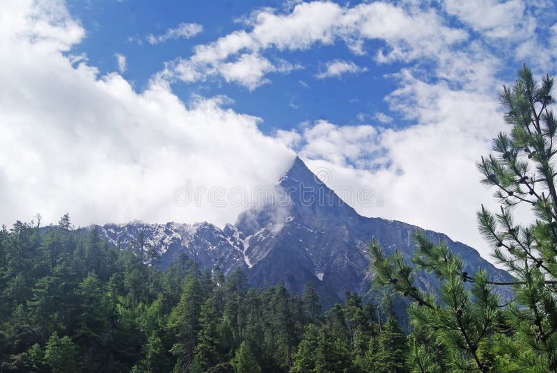 Landscape with Mountains Tree Stock Image - Image of conifer, beautiful ...