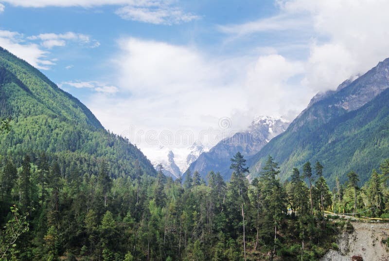 Landscape with Mountains Tree Stock Photo - Image of germany, covered ...
