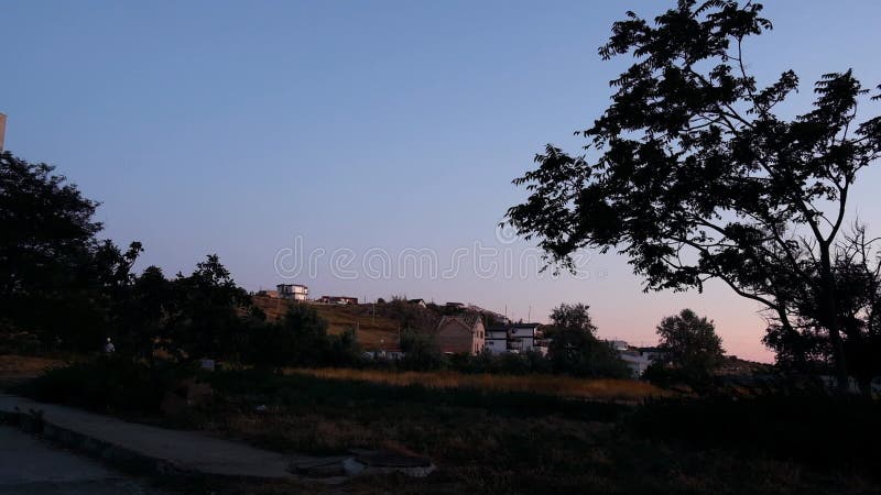 Landscape with the Movement of a Tree in the Dark. Silhouettes Sway in ...