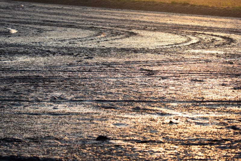 Landscape of Mud in Rice Paddy Field with Natural Sunlight. Stock Photo ...