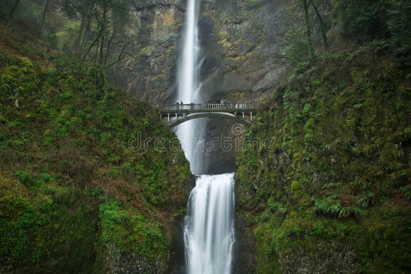Landscape of the Multnomah Falls Surrounded by Greenery in Oregon, the ...