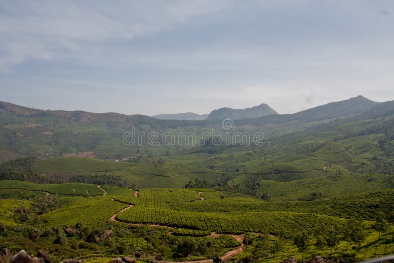Landscape of Munnar Kerala stock image. Image of travel - 117565539