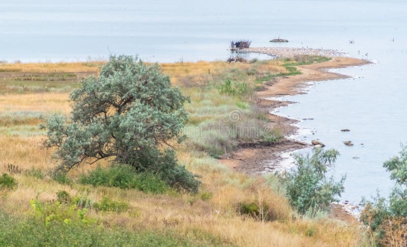 Landscape. a Narrow Triangular Bank on the Estuary Stock Image - Image ...