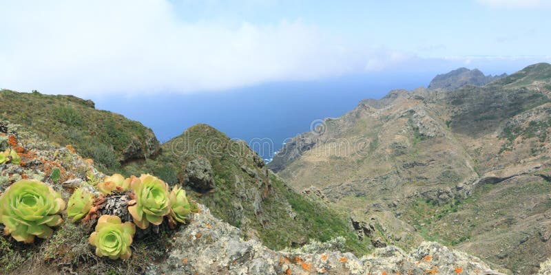 Landscape in National Park Anaga Stock Image - Image of view, national ...