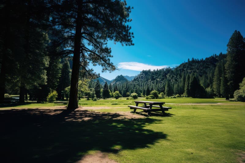 Landscape of National Park with Bench and Trees, Created Using ...