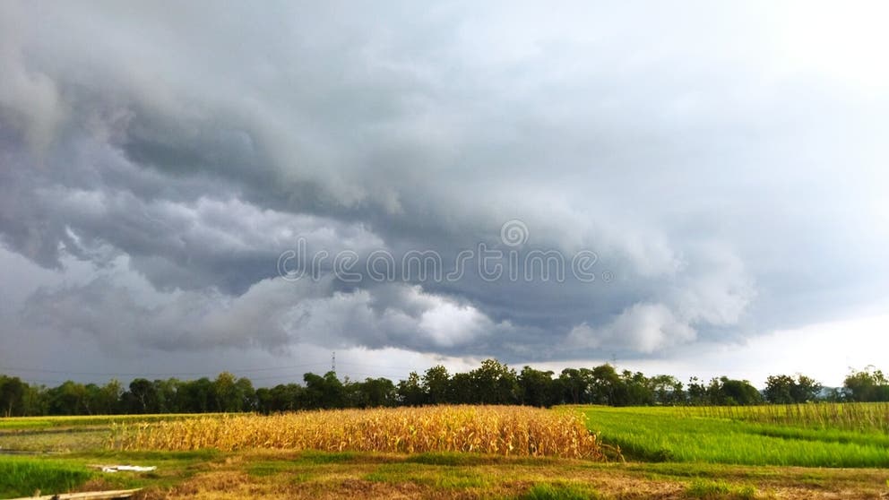 Landscape of Natural Rain Clouds in the Fields Stock Image - Image of ...
