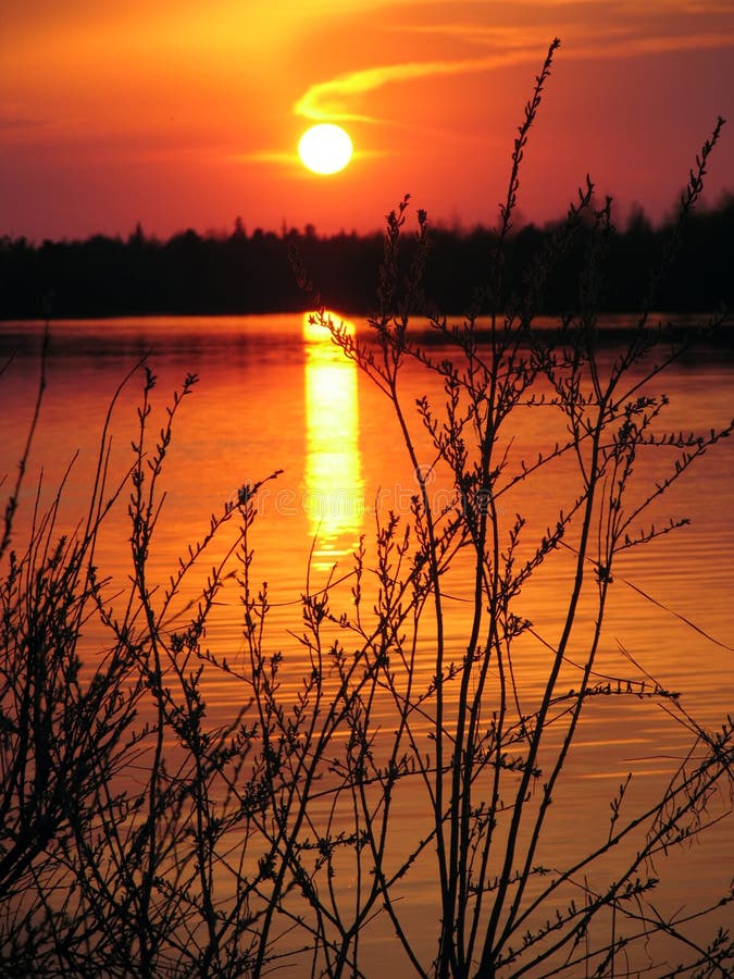 Landscape Nature. Forest and River at Sunset. Stock Photo - Image of ...