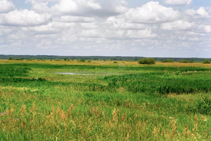 Beautiful Field Landscape, Grass and Dramatic Clouds. Stock Image ...