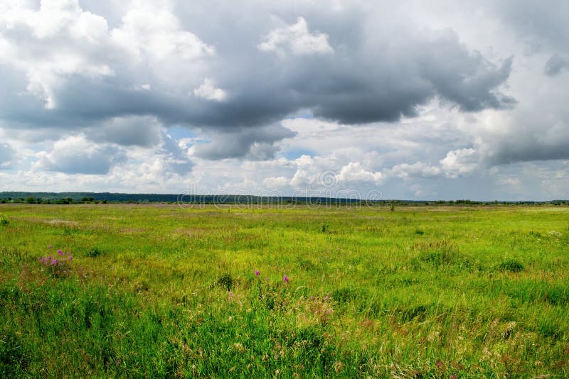 Beautiful Field Landscape, Grass and Dramatic Clouds. Stock Image ...