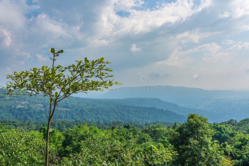 Landscape Nature of Mountains and Trees on Foreground with Beautiful ...