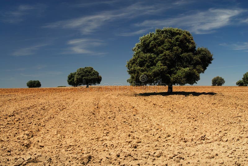 Landscape of nature stock image. Image of branch, goshawk - 143678575