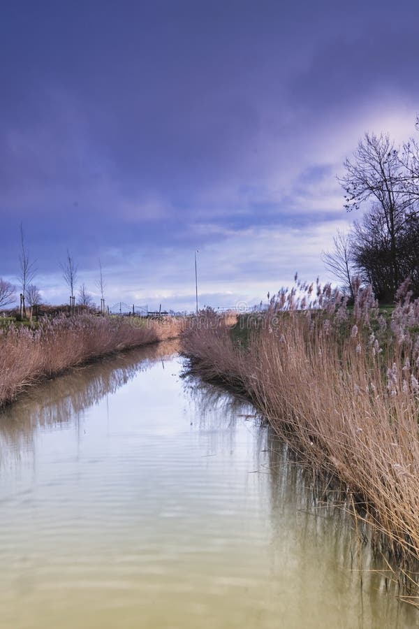 Landscape in the Netherlands with a River, Grasses and a Dramatic Sky ...