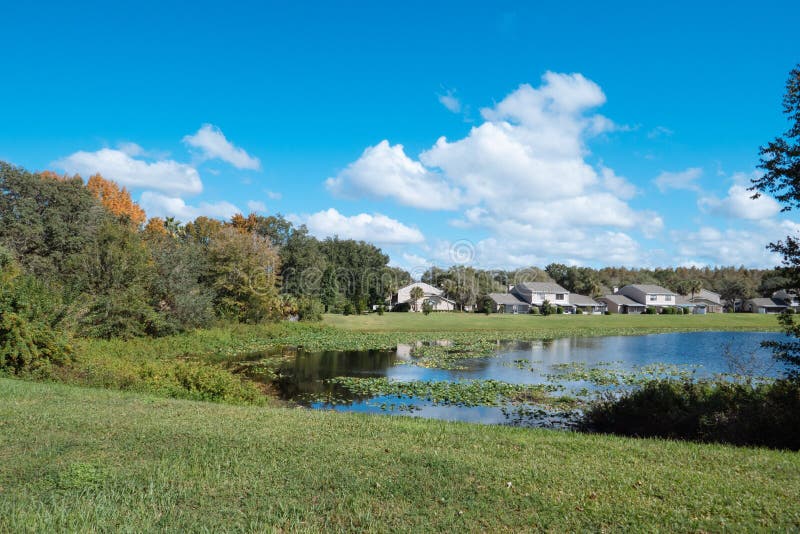 The Autumn Landscape of New Tampa Stock Image - Image of fast, luxury ...