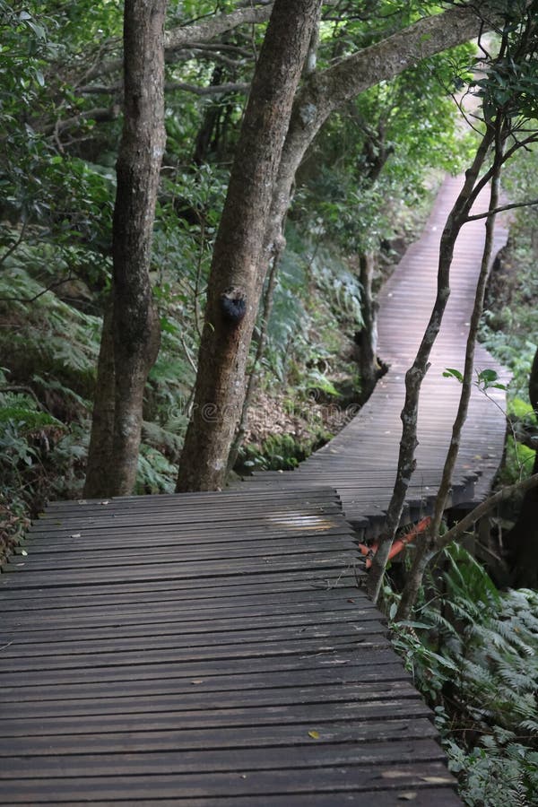 The Landscape of the Ngong Ping Gallery Road 24 Oct 2021 Stock Image ...