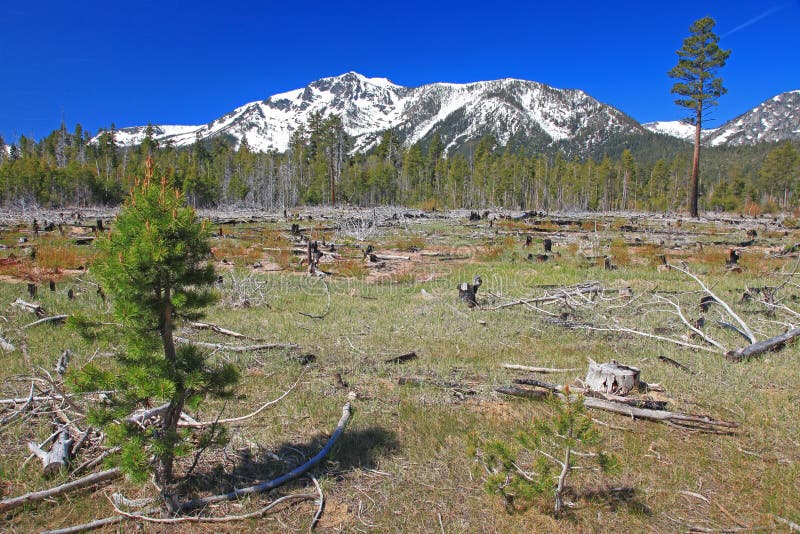 Landscape of North California Stock Image - Image of green, cloud: 19919211