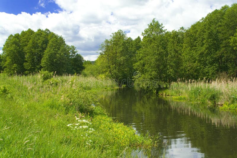 Landscape in north germany stock image. Image of lake - 17428973